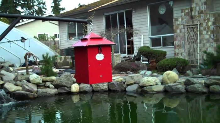 Recreational Fish Feeders for Enthusiasts | Sweeney Feeders